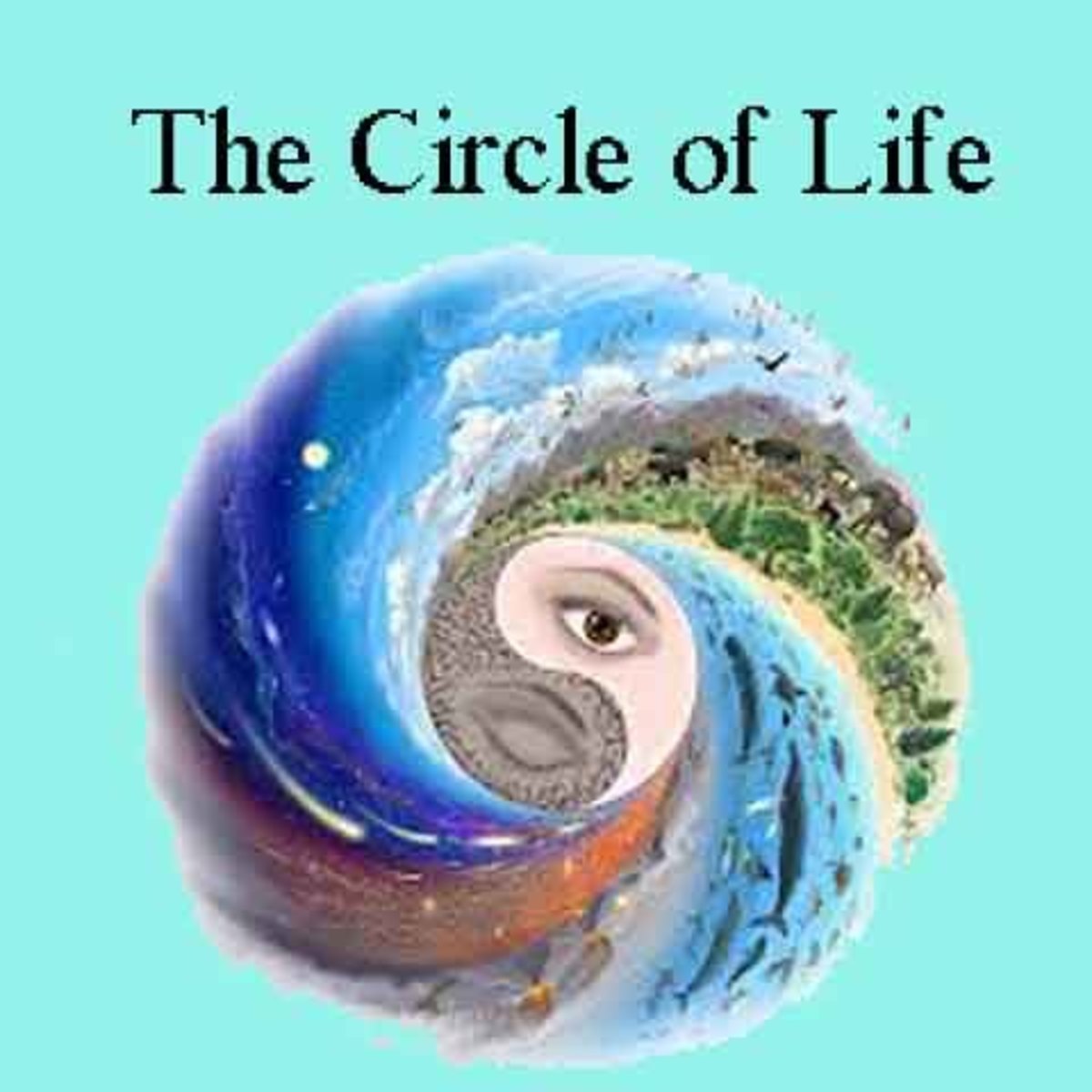 How the brain shops: The Circle of Life - Fountain Partnership